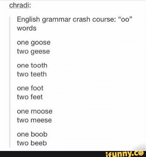 Chradi: English grammar crash course: "oo words one goose two geese one ...