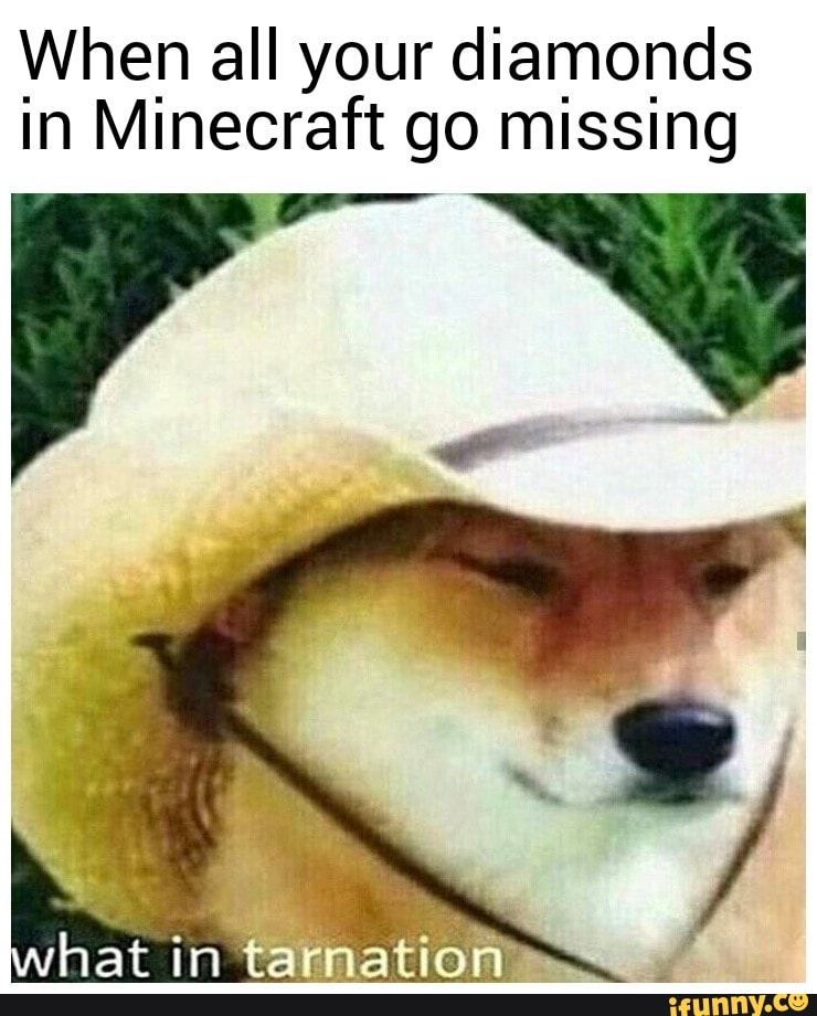 When all your diamonds in Minecraft go missing - iFunny