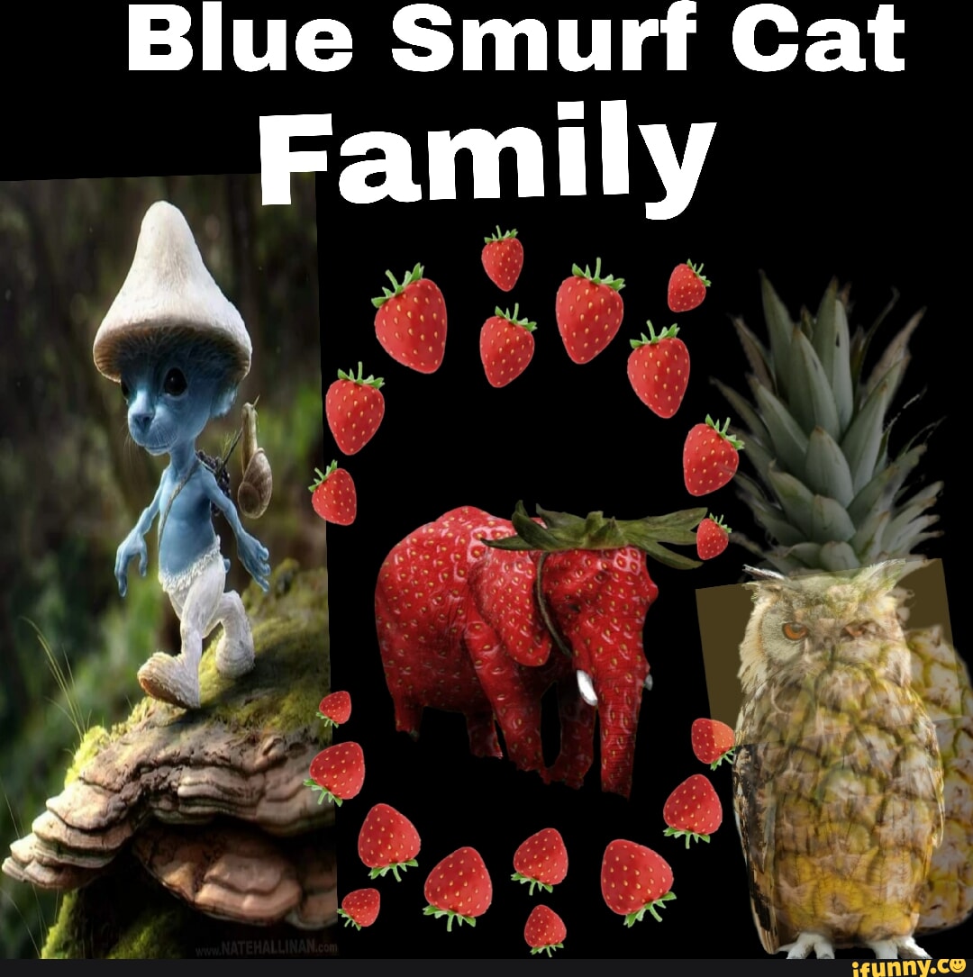 Blue Smurf Cat Family - iFunny