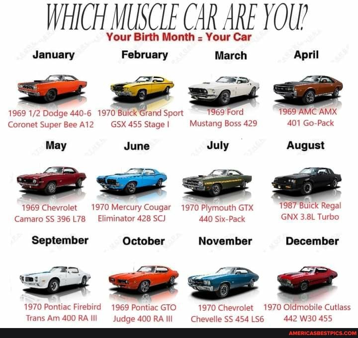 WHICH MUSCLE Birth CAR Month ARE YOU? Your Birth Month Your Ca January ...
