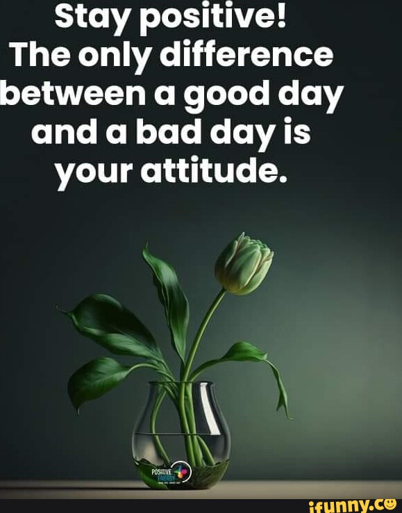 Stay positive! The only difference between a good day and a bad day is ...