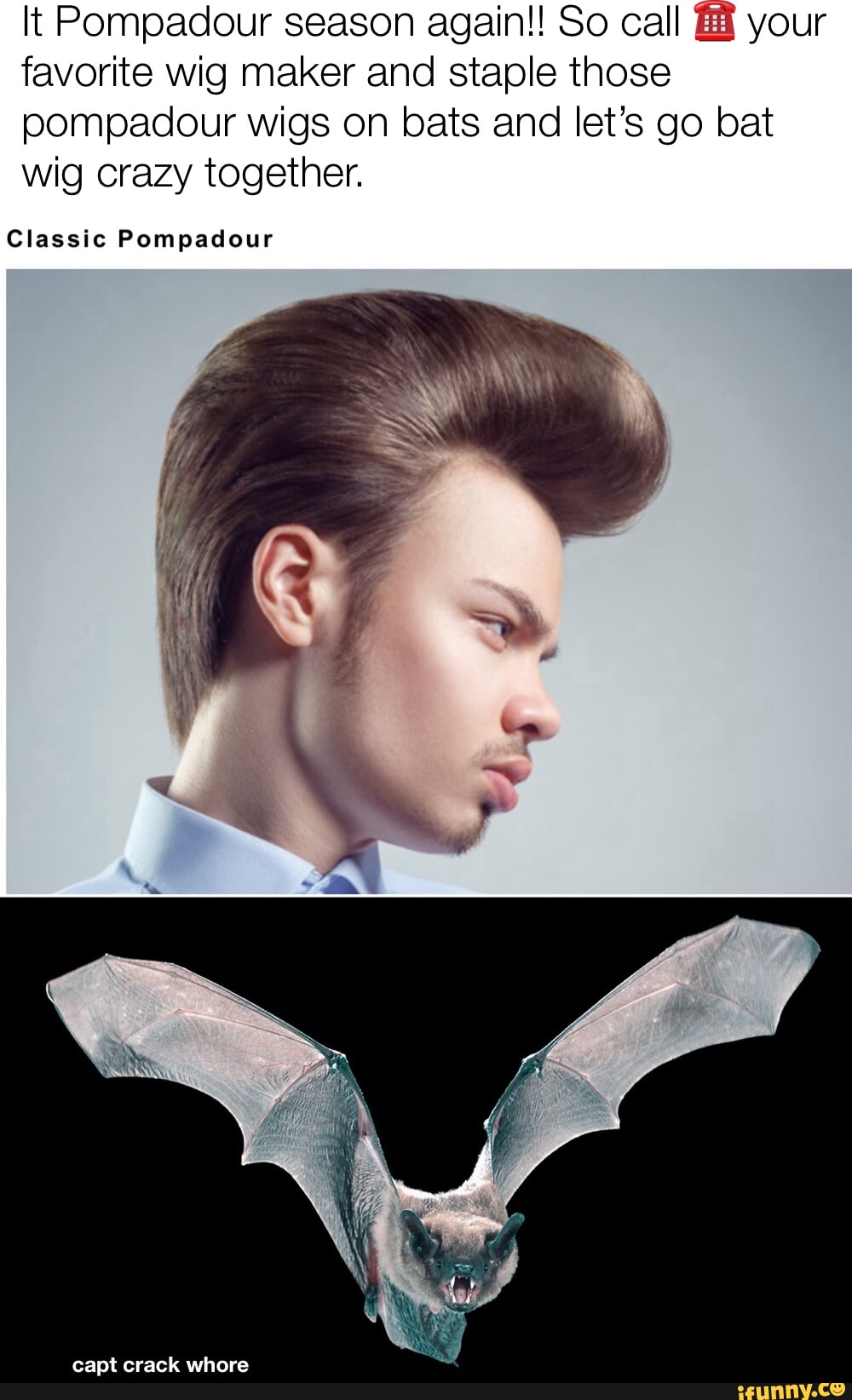 Pompadour memes. Best Collection of funny Pompadour pictures on iFunny