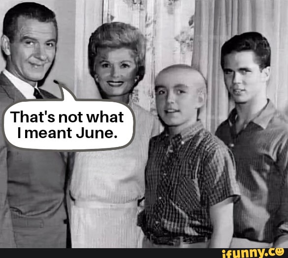 Notwithstanding The Above