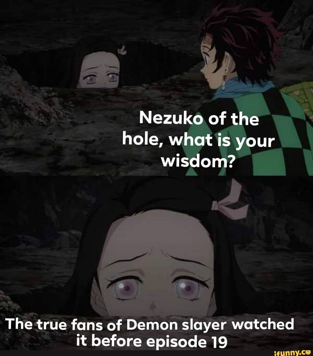 Nezuko of the hole, what is your wisdom? The true fans of Demon slayer ...