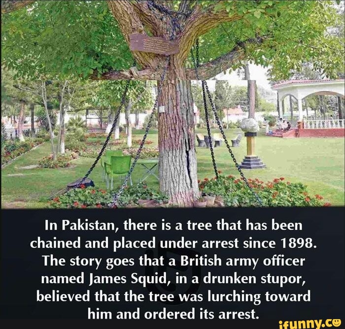 When your friend wants to talk about Transformers - iFunny