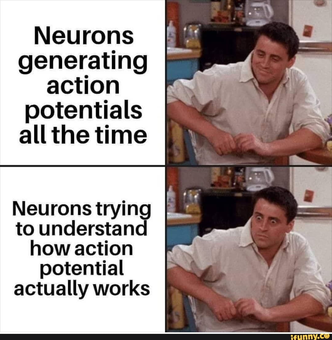 Neurons generating action potentials all the time Neurons trying to ...