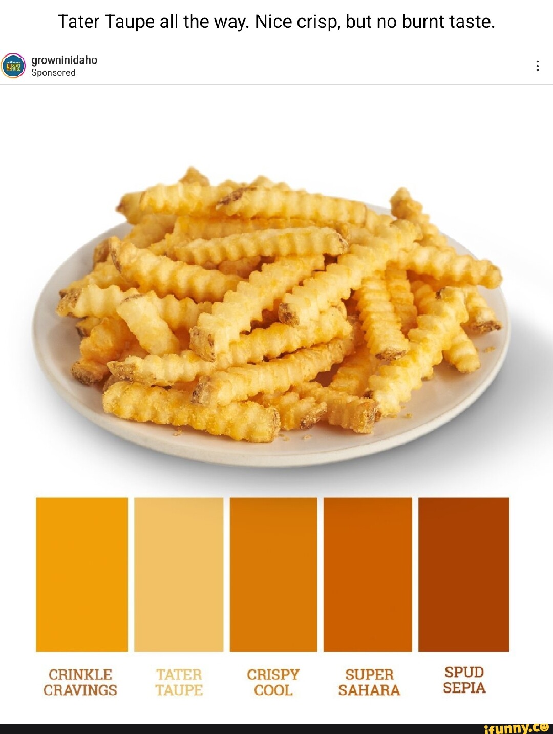 Sepia memes. Best Collection of funny Sepia pictures on iFunny