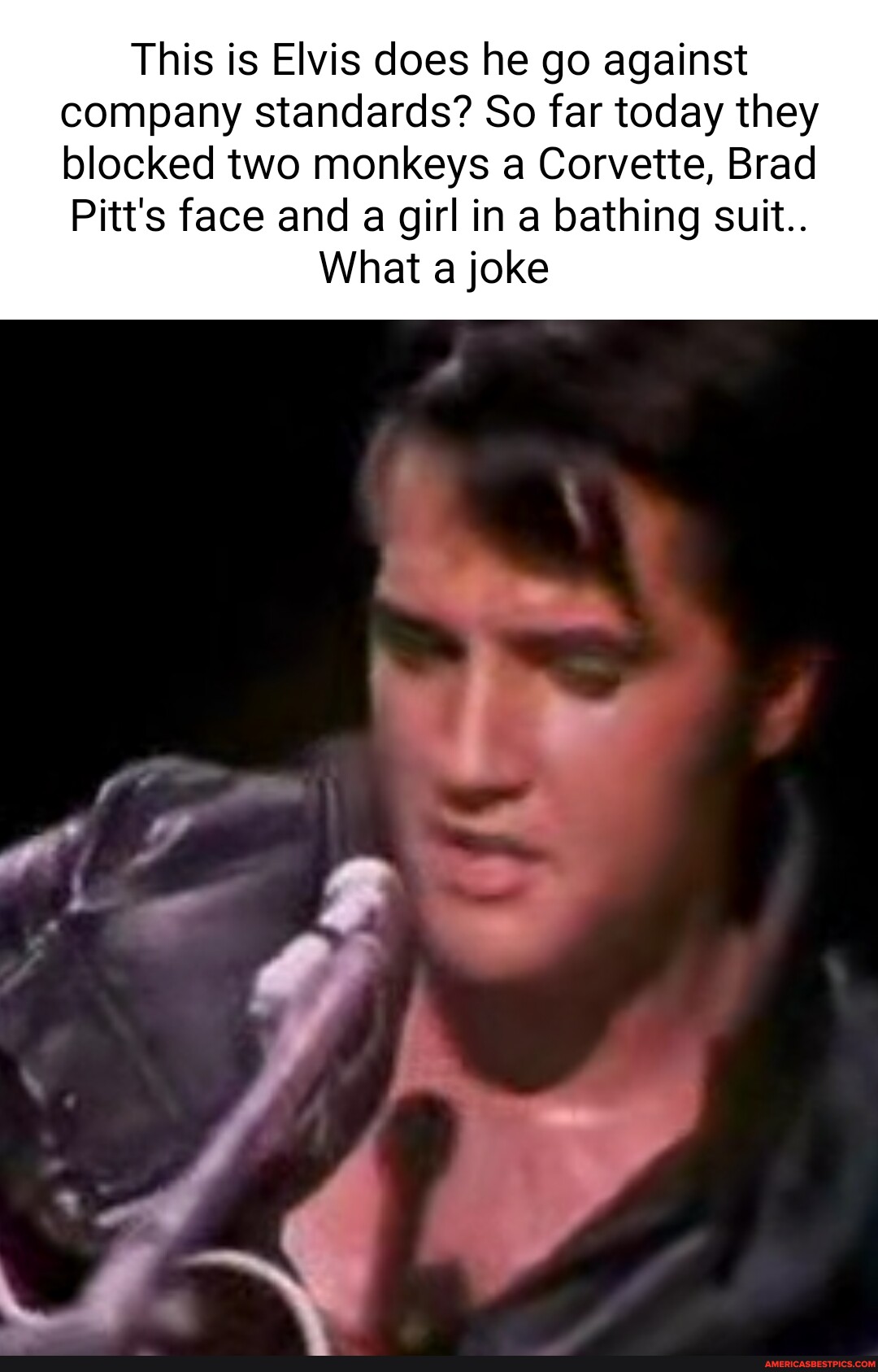 This is Elvis does he go against company standards? So far today they ...