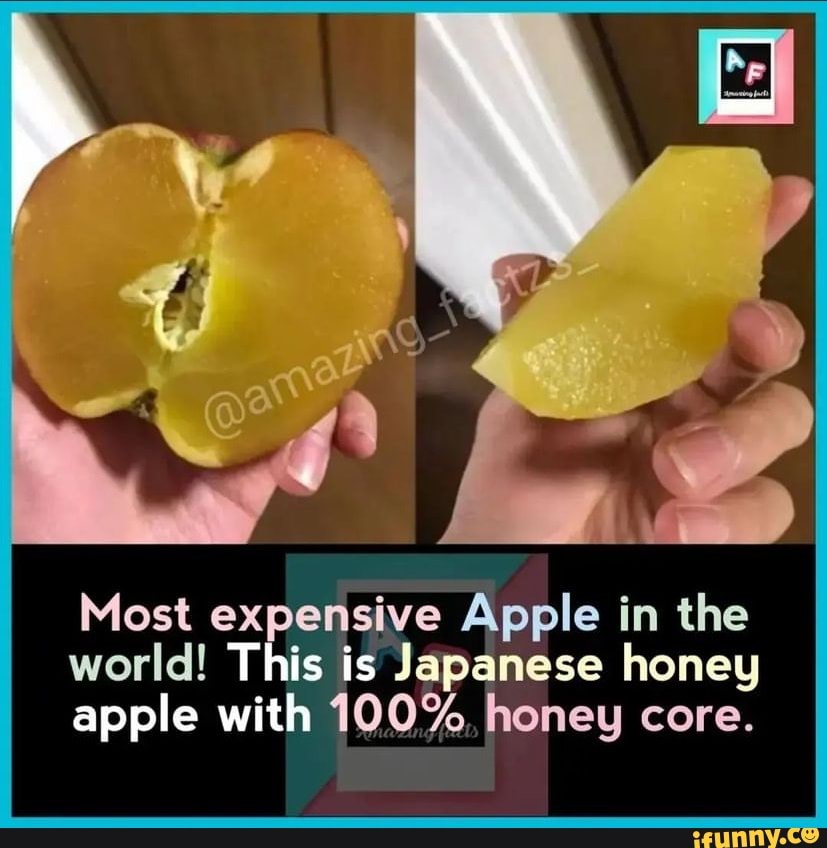 Most expensive Apple in the world! This is Japanese honey apple with ...