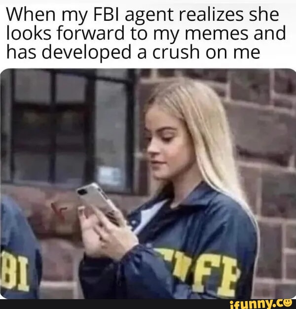 When my FBI agent realizes she looks forward to my memes and has ...