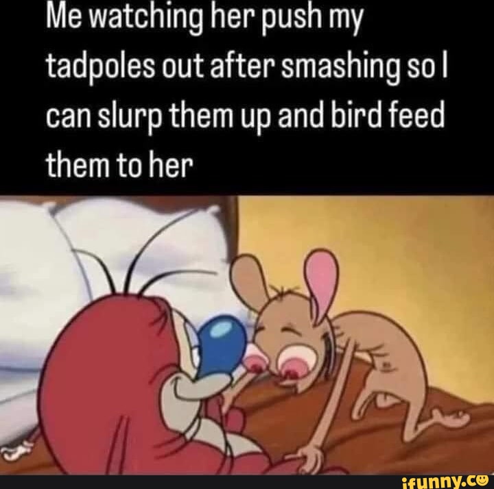 Tadpoles memes. Best Collection of funny Tadpoles pictures on iFunny