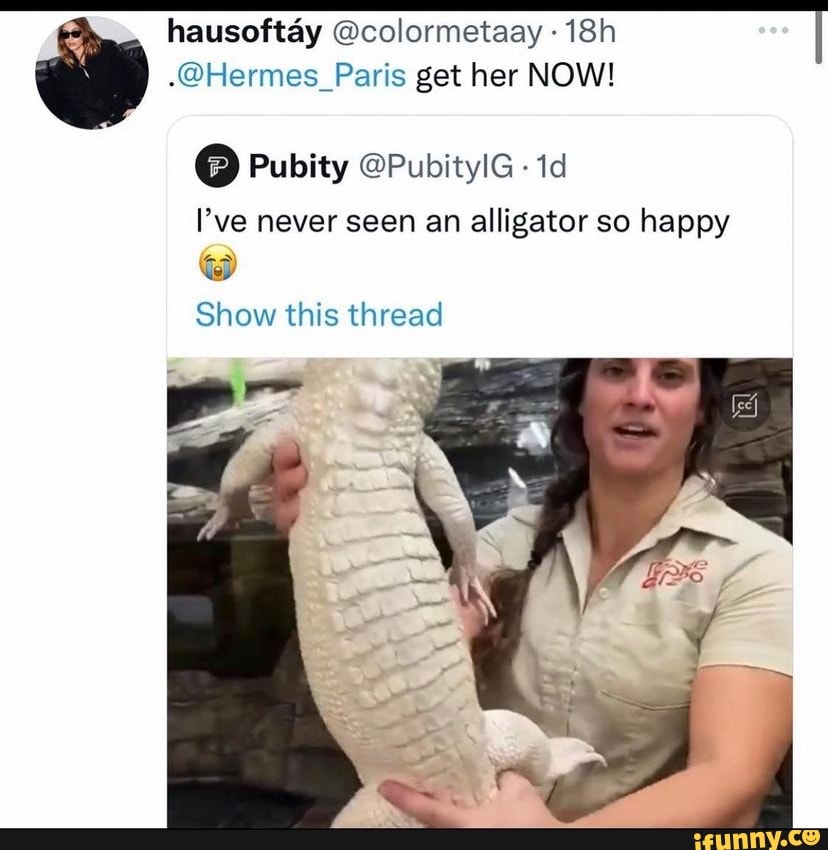 Birkin memes. Best Collection of funny Birkin pictures on iFunny