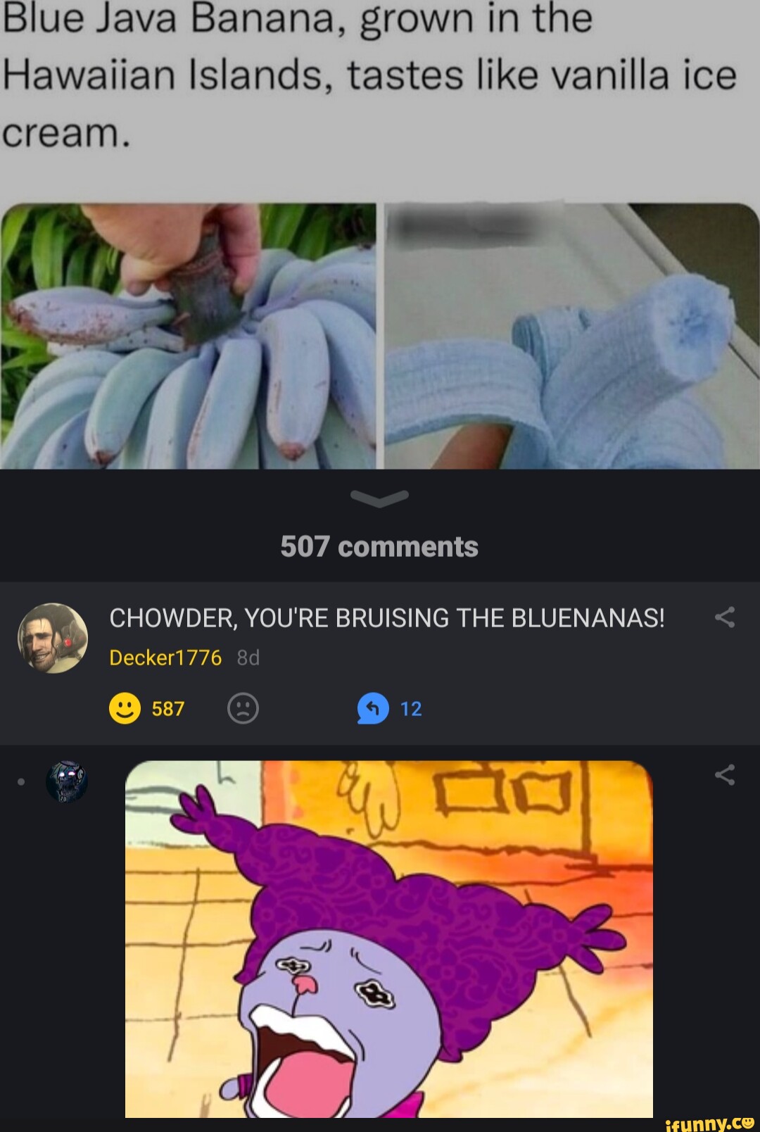 Blue Java Banana, grown in the Hawaiian Islands, tastes like vanilla ...