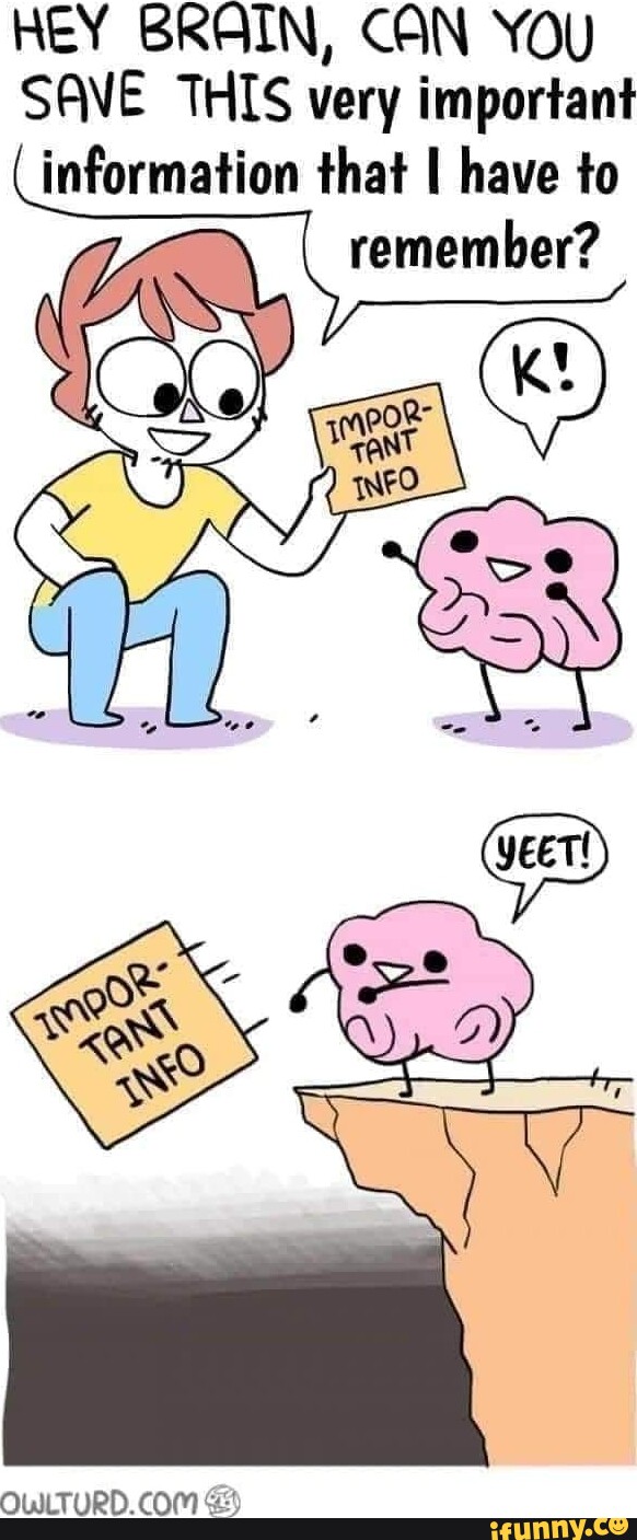 HEY BRAIN, CAN YOU SAVE THIS very important information that I have to ...