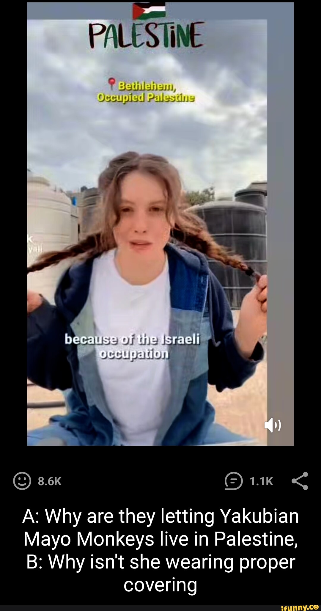 PALESTINE I of the A: Why are they letting Yakubian Mayo Monkeys live ...