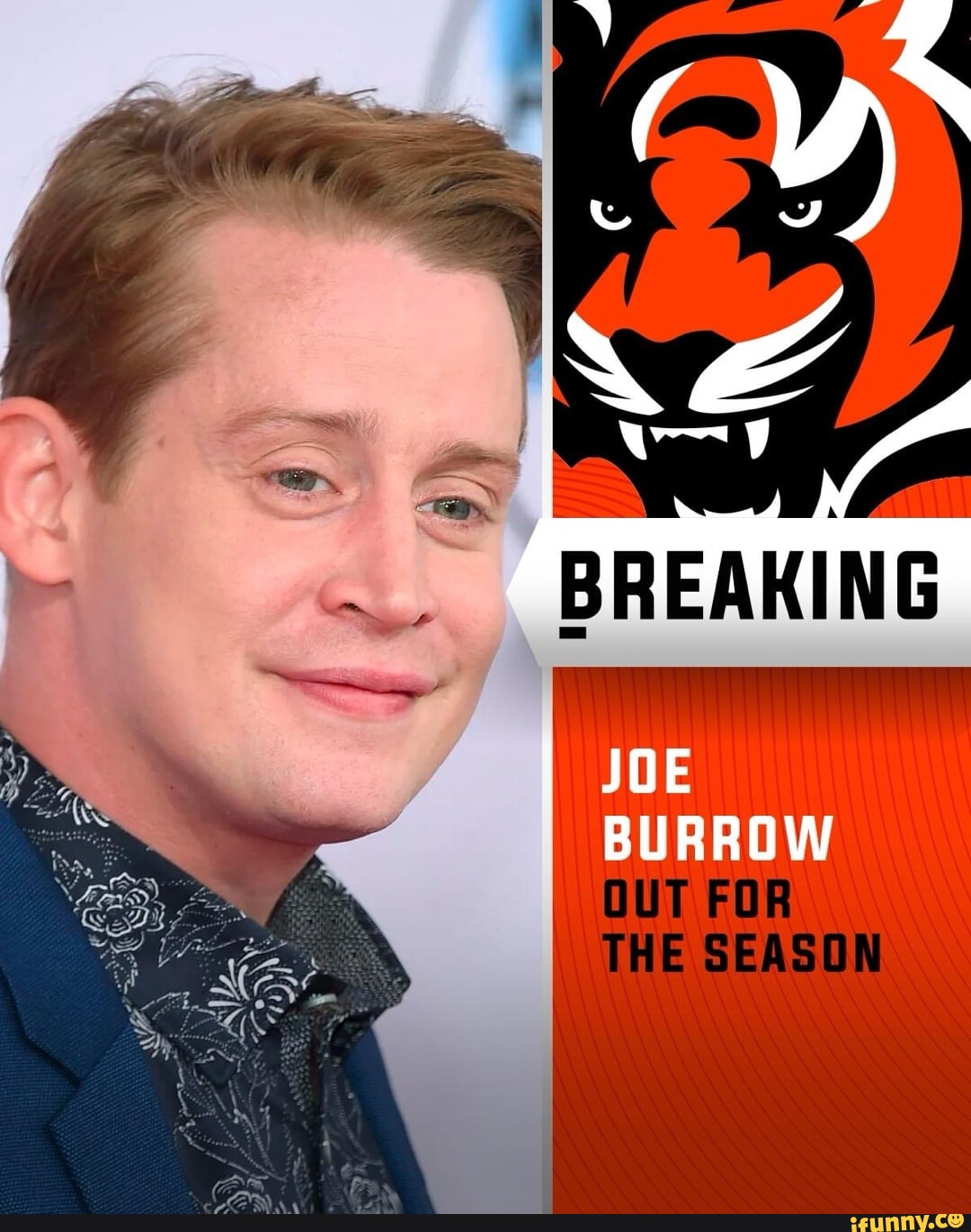 Burrow memes. Best Collection of funny Burrow pictures on iFunny