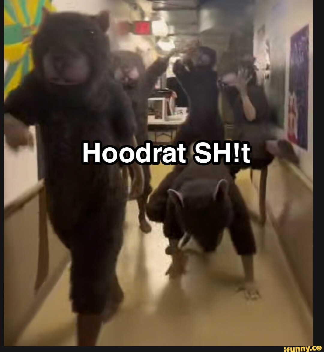 2am memes. Best Collection of funny 2am pictures on iFunny