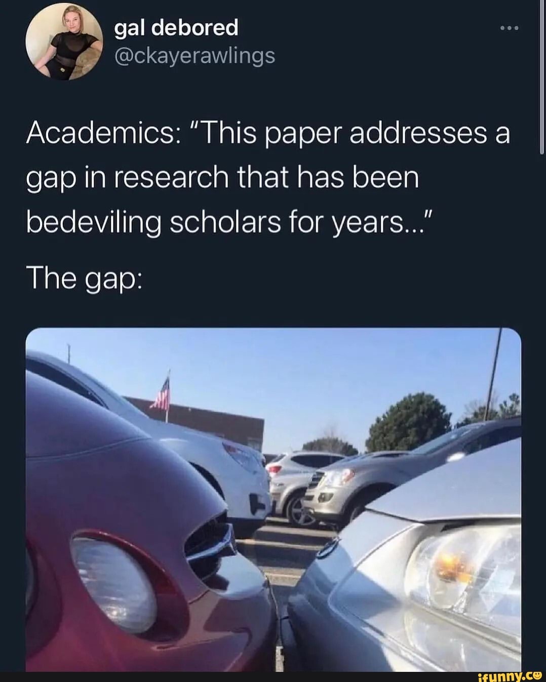 North American Fiber- Seeking Backhoe Backhoe filiccomedens AKA "Big ...