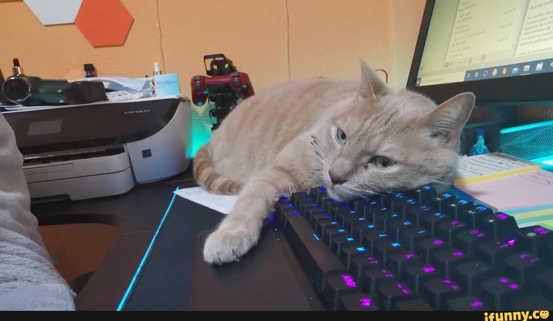 Teleworking memes. Best Collection of funny Teleworking pictures on iFunny