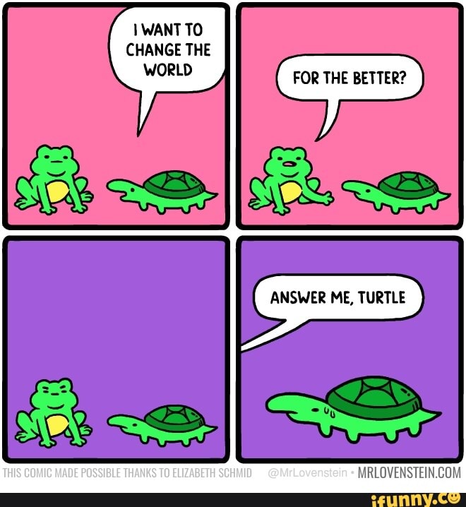 ANSWER ME, TURTLE - iFunny