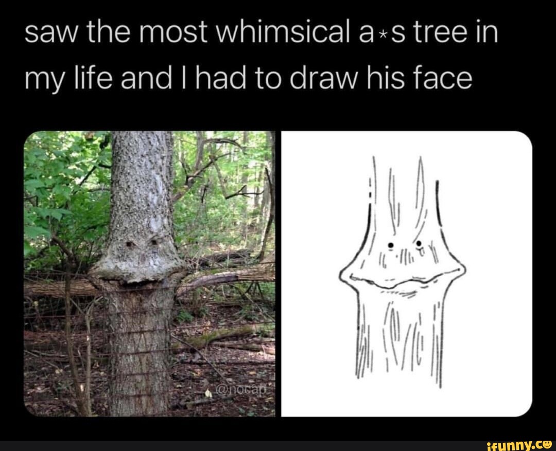 Saw the most whimsical a-s tree in my life and I had to draw his face ...