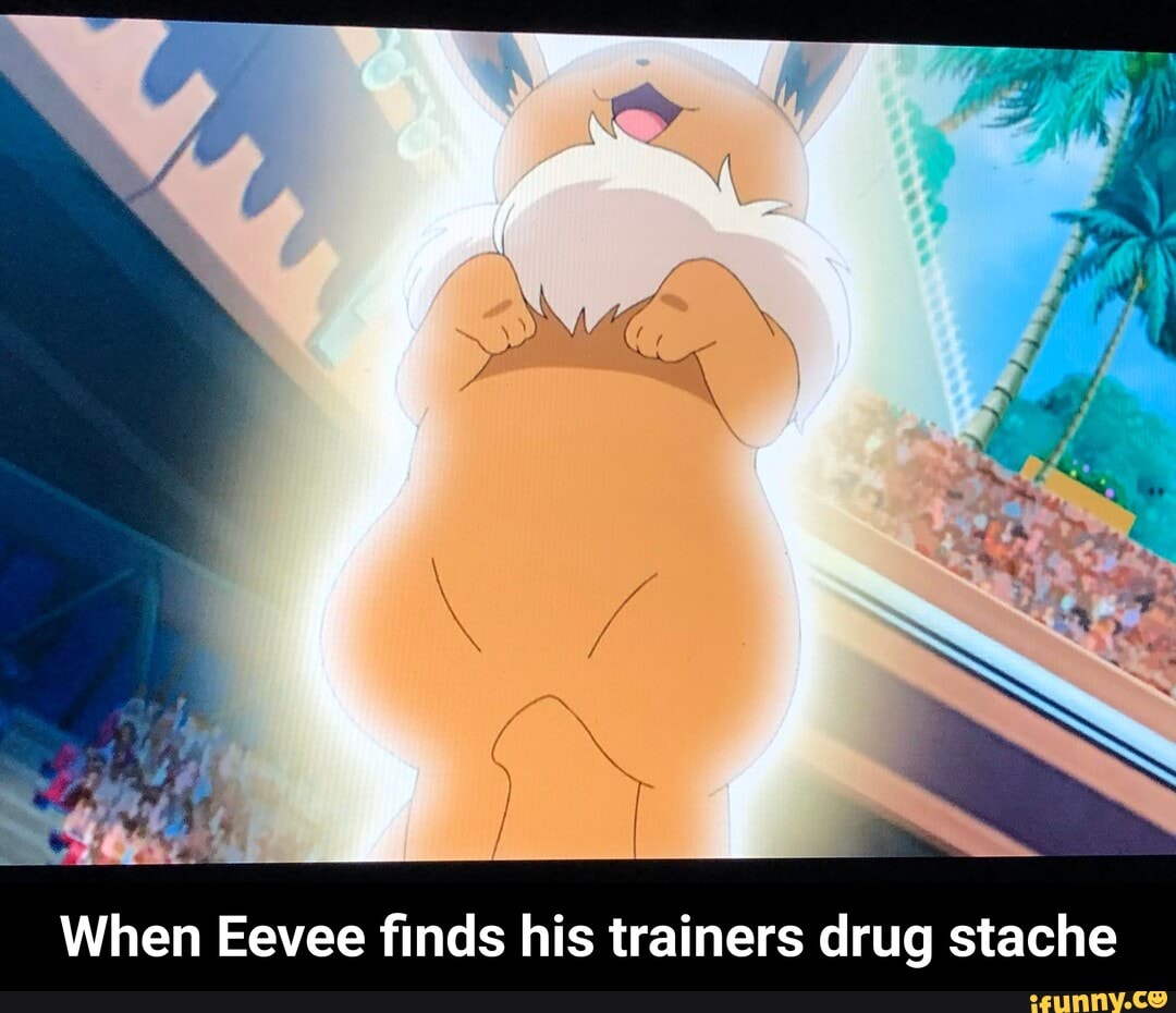When Eevee finds his trainers drug stache - When Eevee finds his trainers drug stache - iFunny