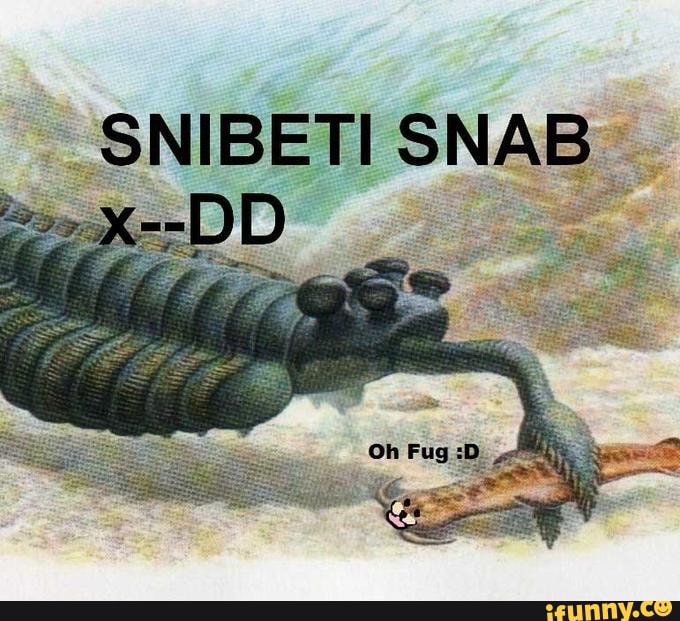 Snibeti memes. Best Collection of funny Snibeti pictures on iFunny