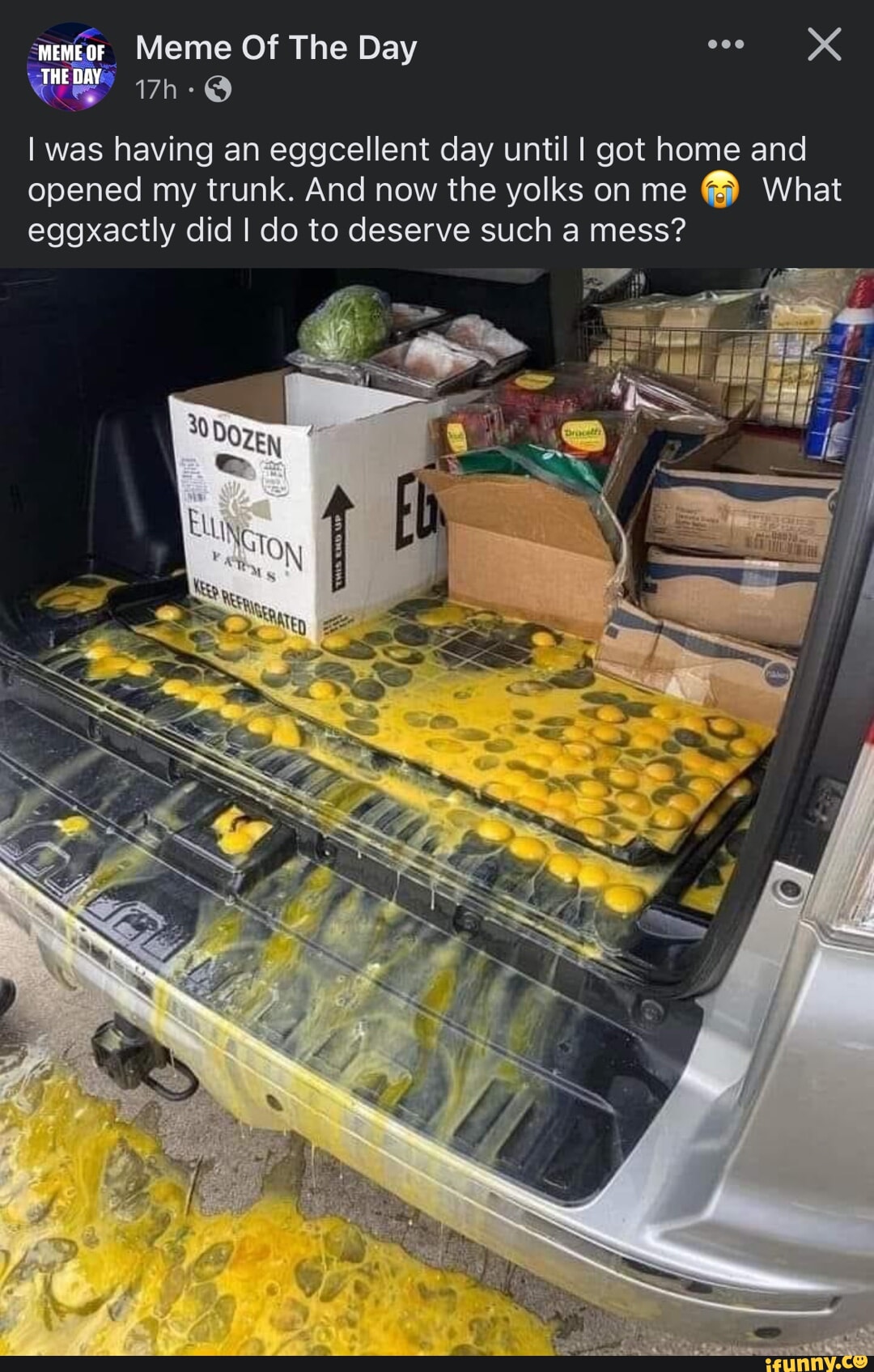 MEME OF Meme Of The Day I was having an eggcellent day until I got home ...