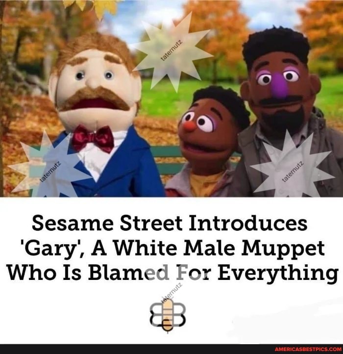 Sesame Street Introduces 'Gary', A White Male Muppet Who Is Blamed For ...