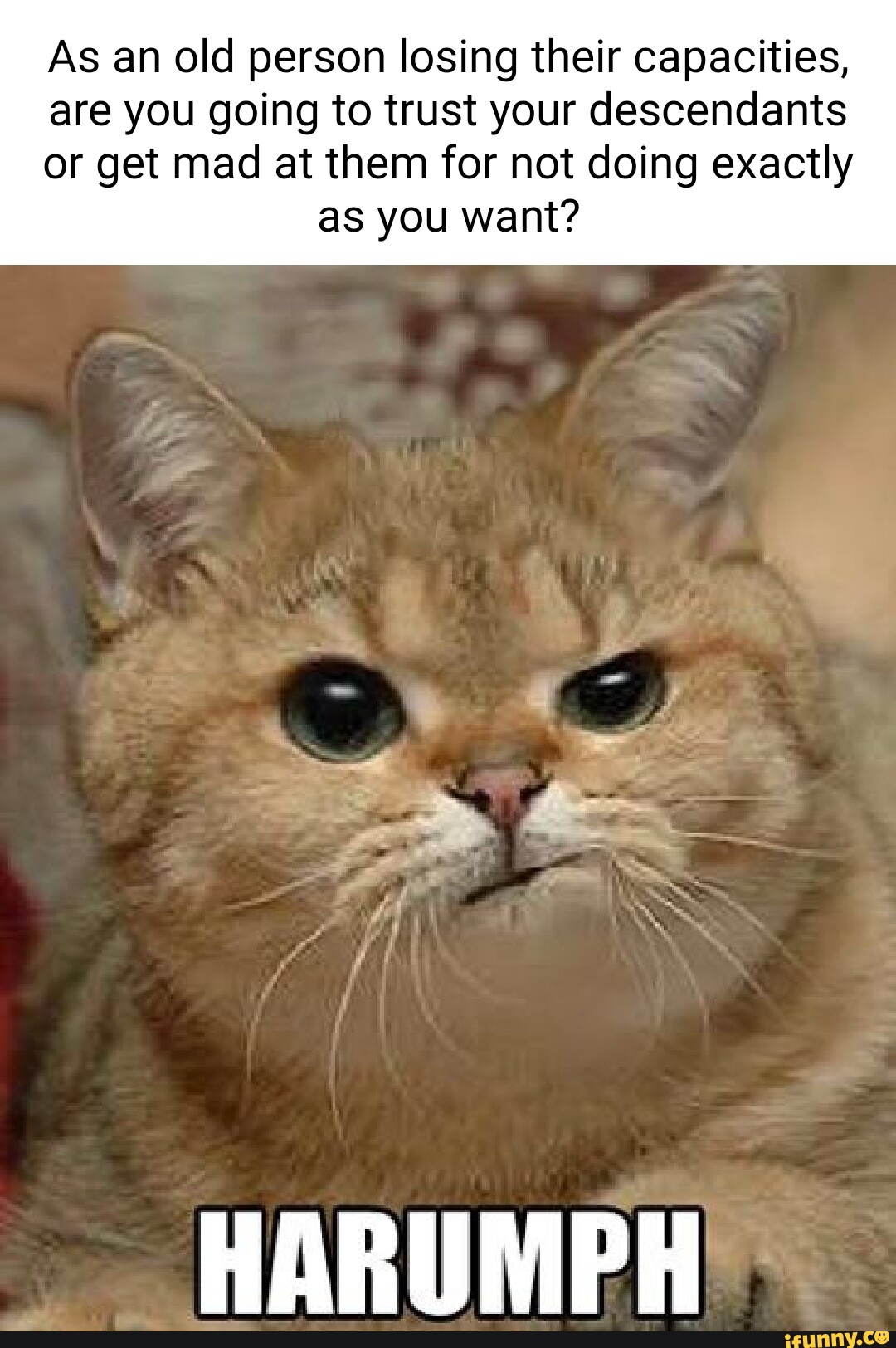 Harumph Blazing Saddles