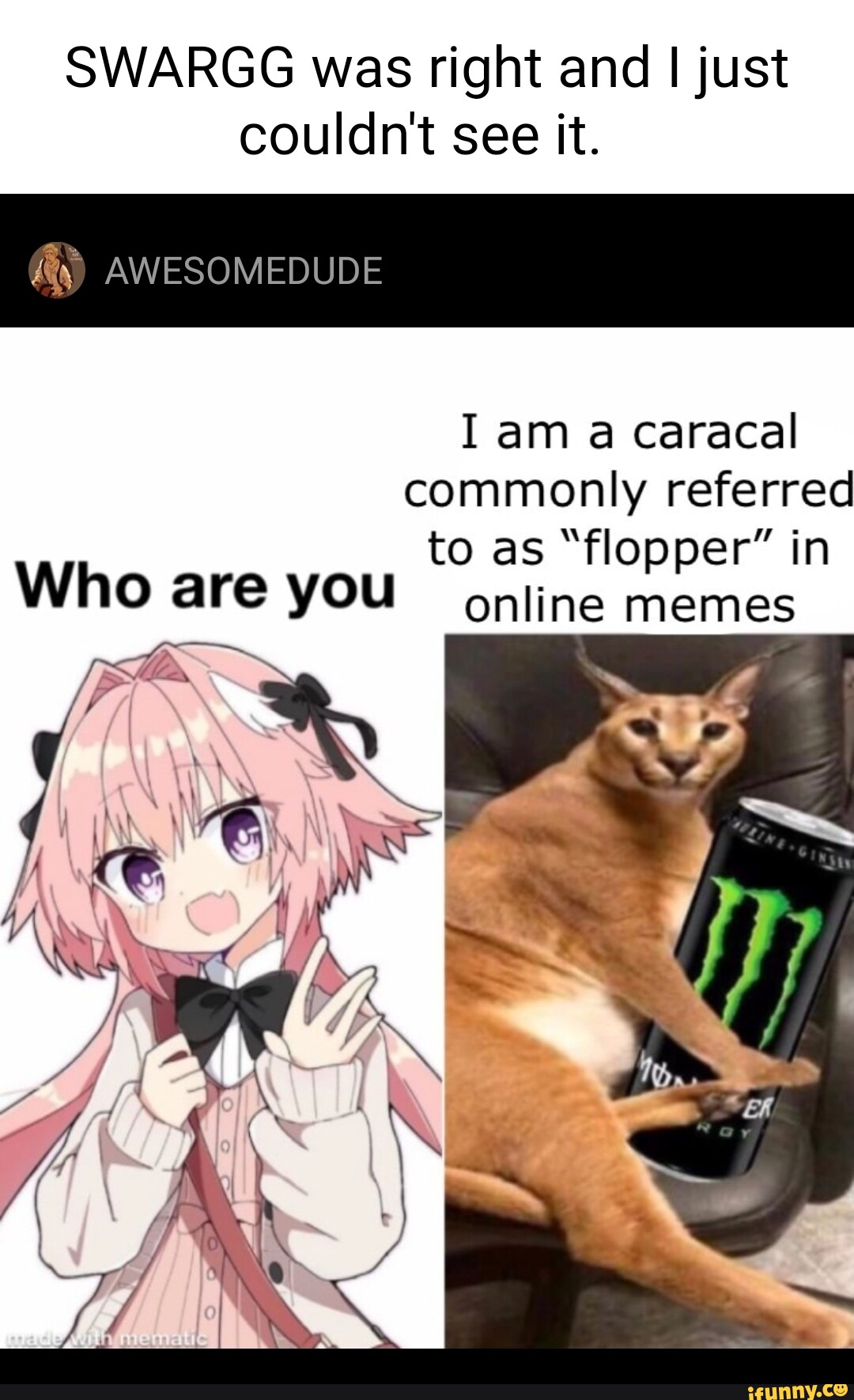 Flopper memes. Best Collection of funny Flopper pictures on iFunny