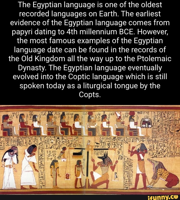 Egyptianlanguage memes. Best Collection of funny Egyptianlanguage ...