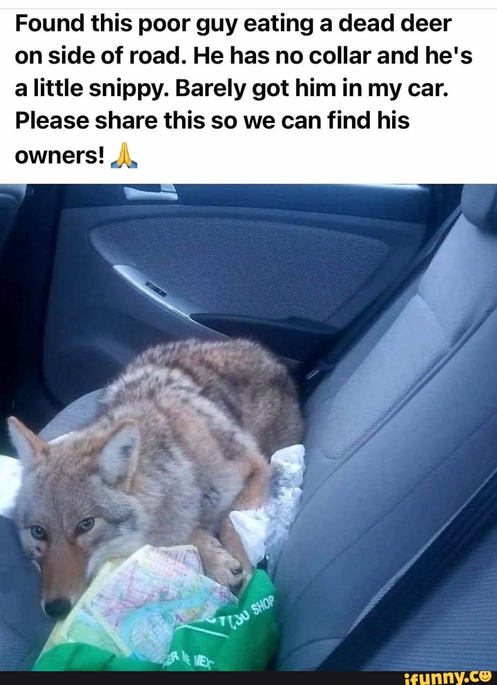 Snippy memes. Best Collection of funny Snippy pictures on iFunny