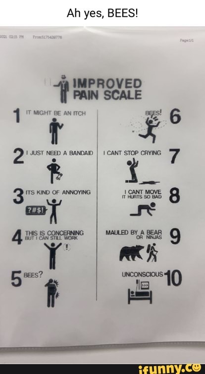 Ah yes, BEES! PAIN SCALE MIGHT BE AN ITCH CANT STOP CRYING CANT MOVE 8 ...