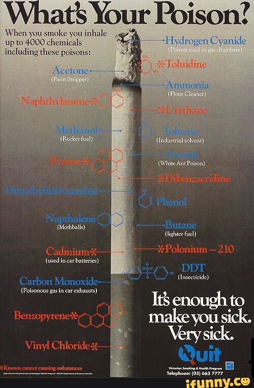 Phenol memes. Best Collection of funny Phenol pictures on iFunny