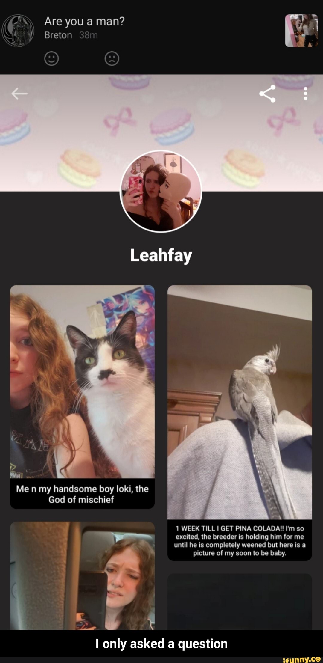 Breton memes. Best Collection of funny Breton pictures on iFunny