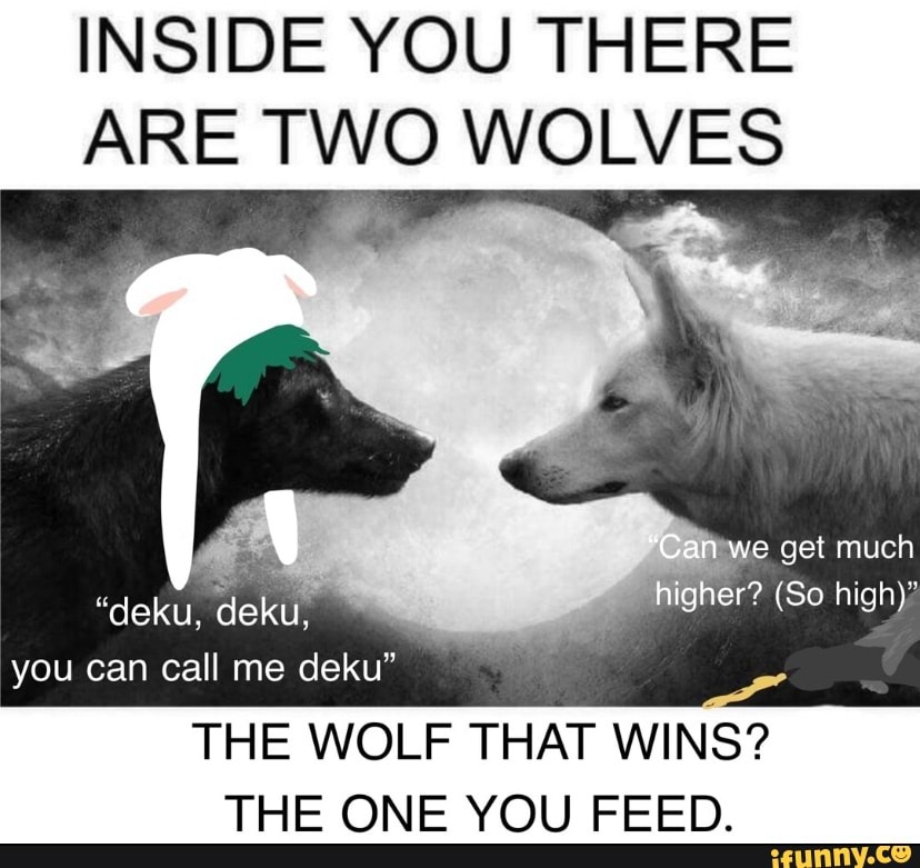 INSIDE YOU THERE ARE TWO WOLVES "Can we get much higher? (So high ...