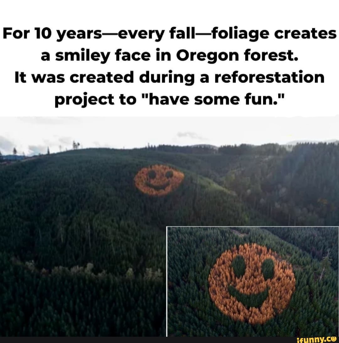 For 10 years-every fall-foliage creates a smiley face in Oregon forest ...