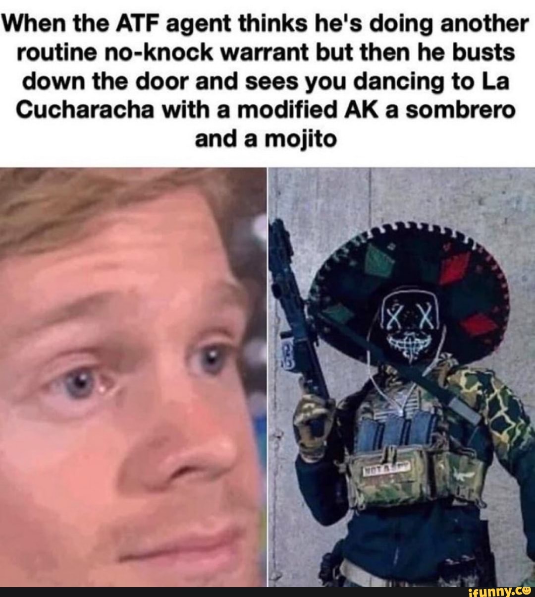 When the ATF agent thinks he's doing another routine no-knock warrant ...