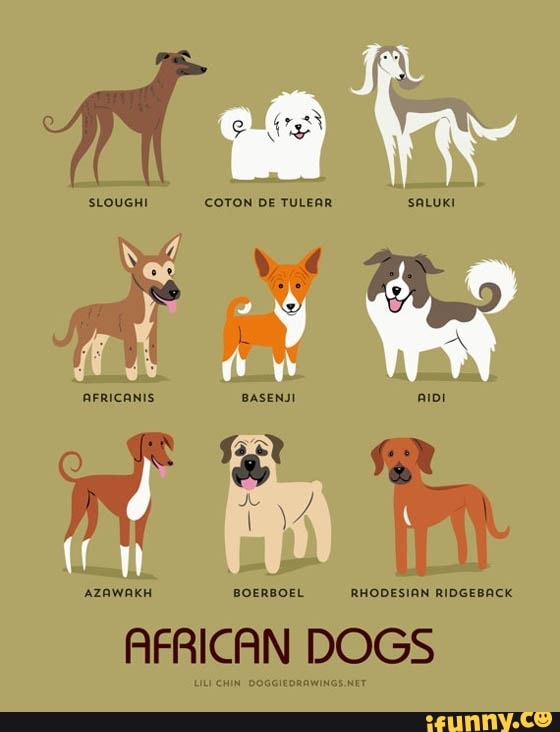 Ridgeback memes. Best Collection of funny Ridgeback pictures on iFunny