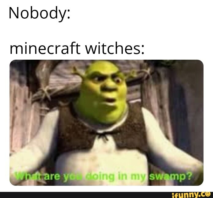 Nobody: minecraft witches: - iFunny