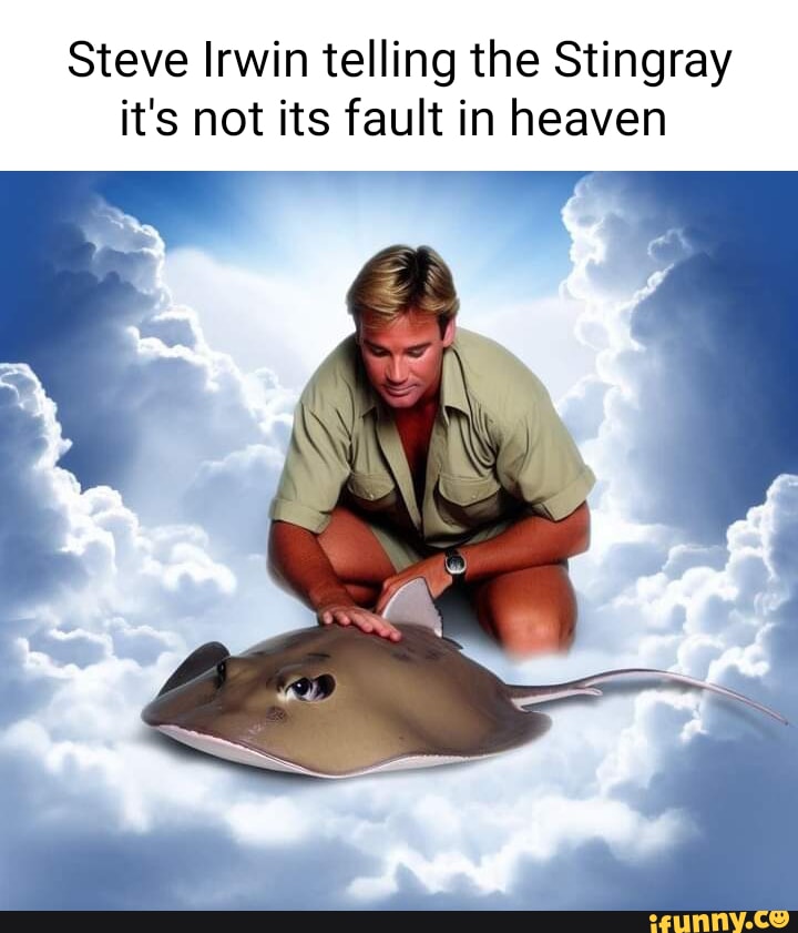 Steve Irwin telling the Stingray it's not its fault in heaven - iFunny
