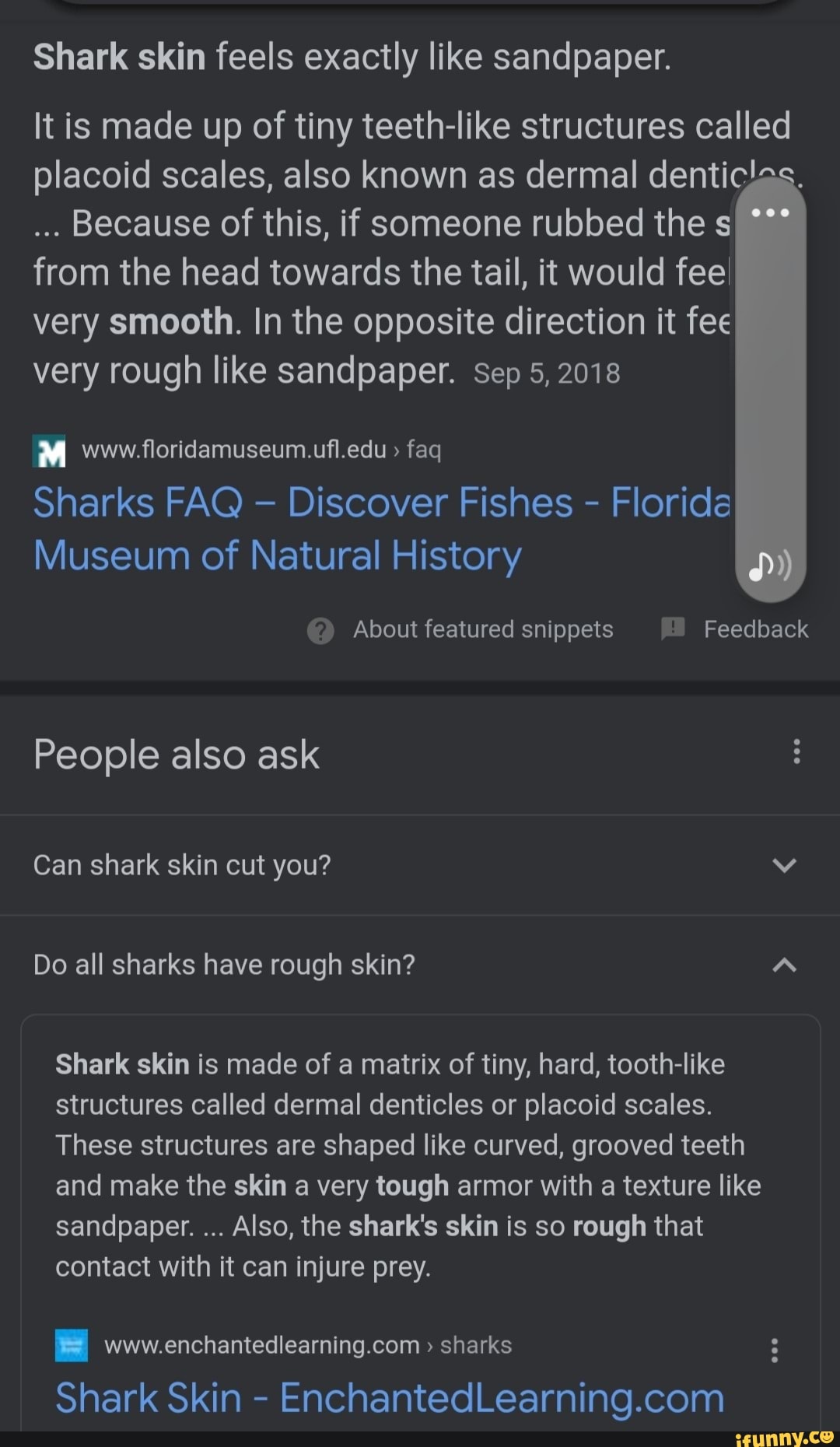 Shark skin feels exactly like sandpaper. It is made up of tiny teeth ...