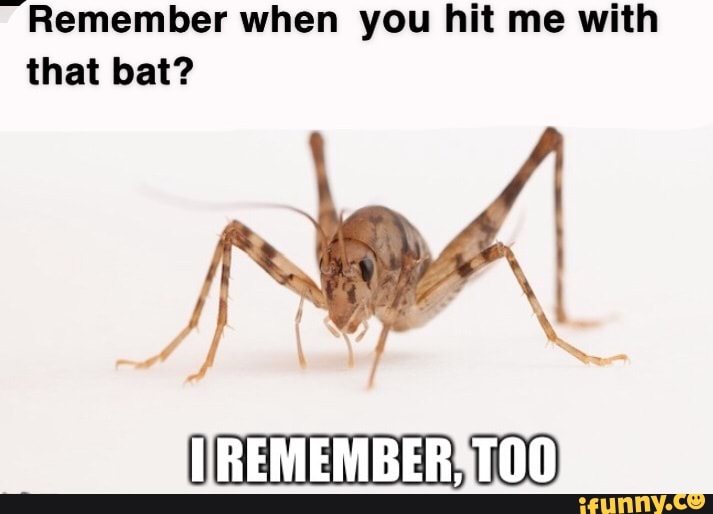 Remember when you hit me with that bat? REMEMBER, - iFunny
