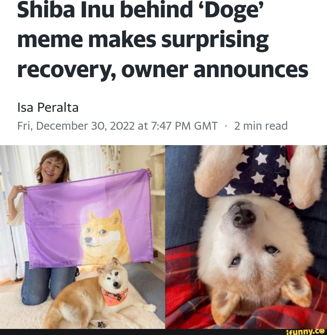 Shiba Inu behind 'Doge' meme makes surprising recovery, owner announces ...