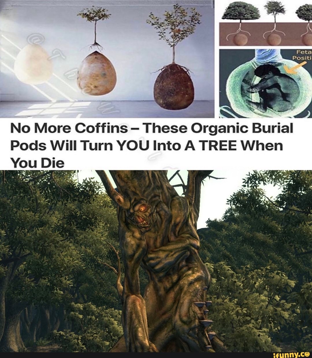 No More Coffins These Organic Burial Pods Will Turn YOU Into A TREE ...