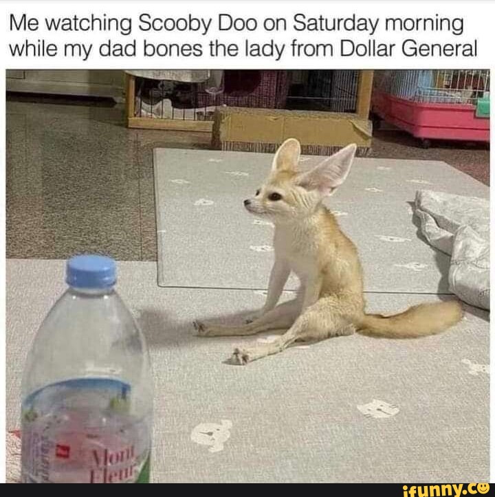 Me watching Scooby Doo on Saturday morning while my dad bones the lady ...