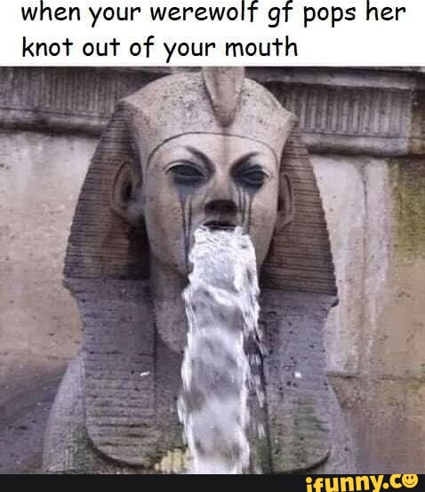 When your werewolt gf pops her knot out of your mouth - iFunny