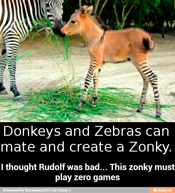 Zonky memes. Best Collection of funny Zonky pictures on iFunny