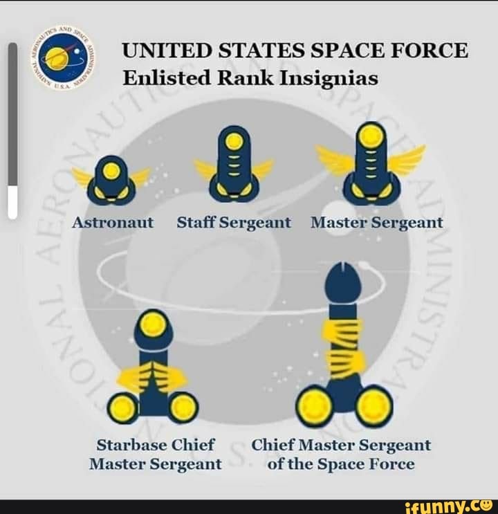UNITED STATES SPACE FORCE Enlisted Rank Insignias Astronaut Staff ...